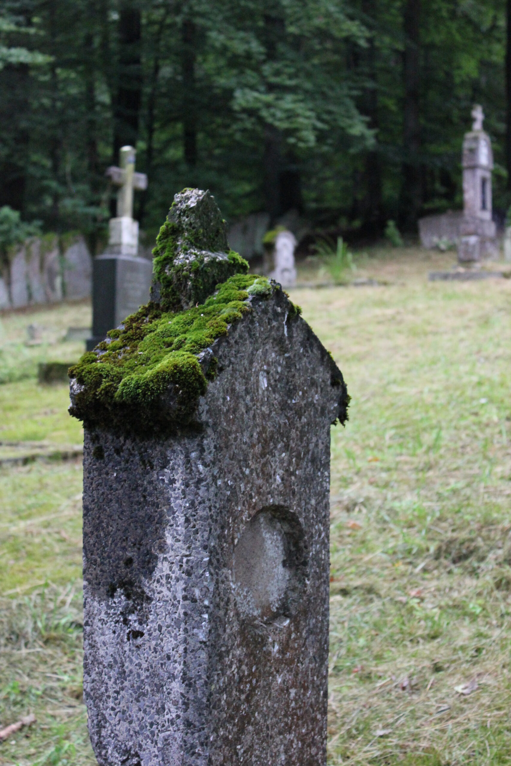 Wandertage auf dem Truppenübungsplatz Wildflecken